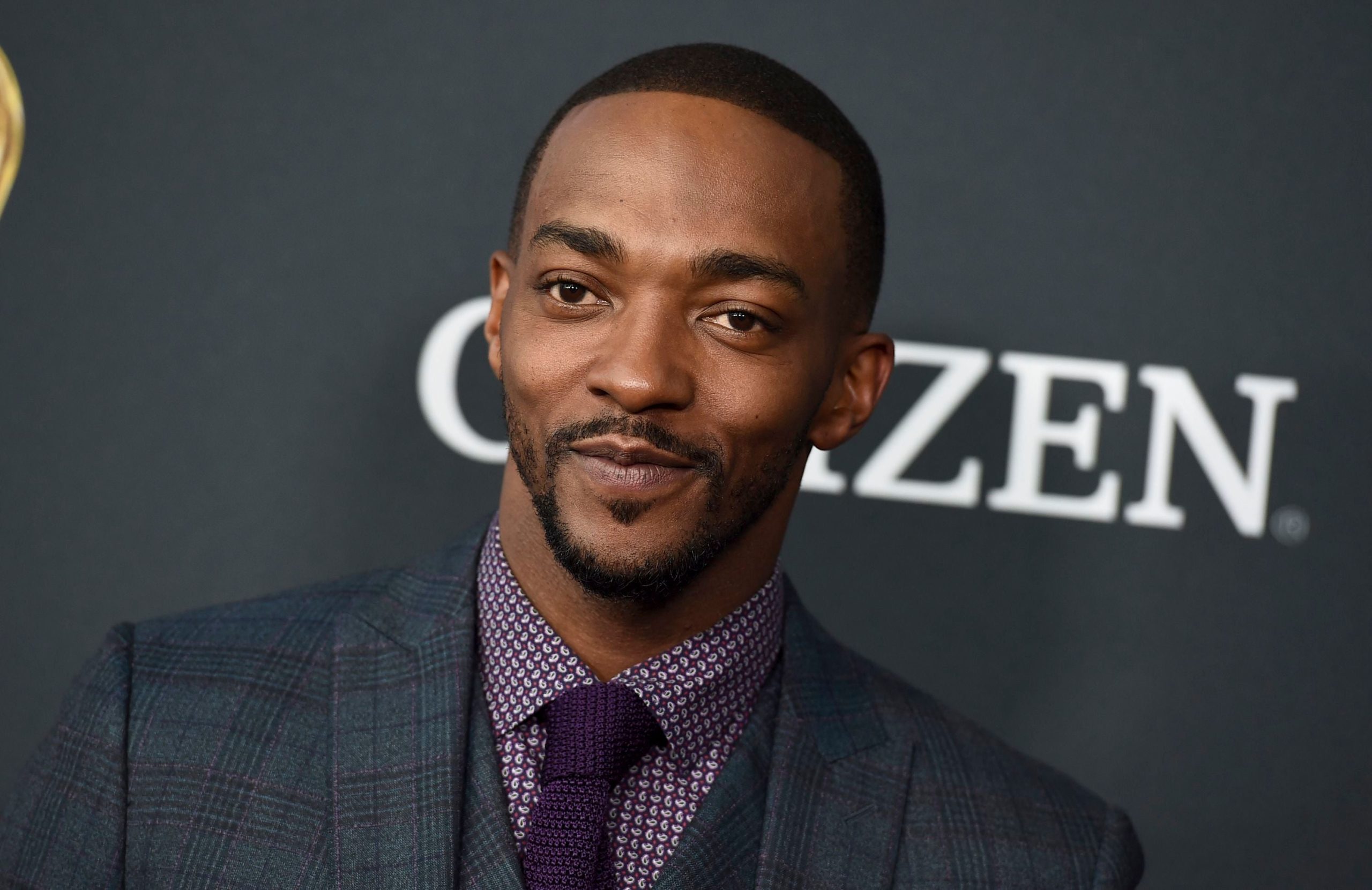 Actor Anthony Mackie Buys 20 Acres To Build Production Studio In His ...